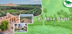 Discover the most 10 beautiful green areas in Saudi Arabia