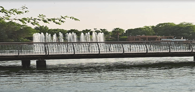 Details of the Riyadh Peace Tree Garden 2022 - مدونة زوار السعودية